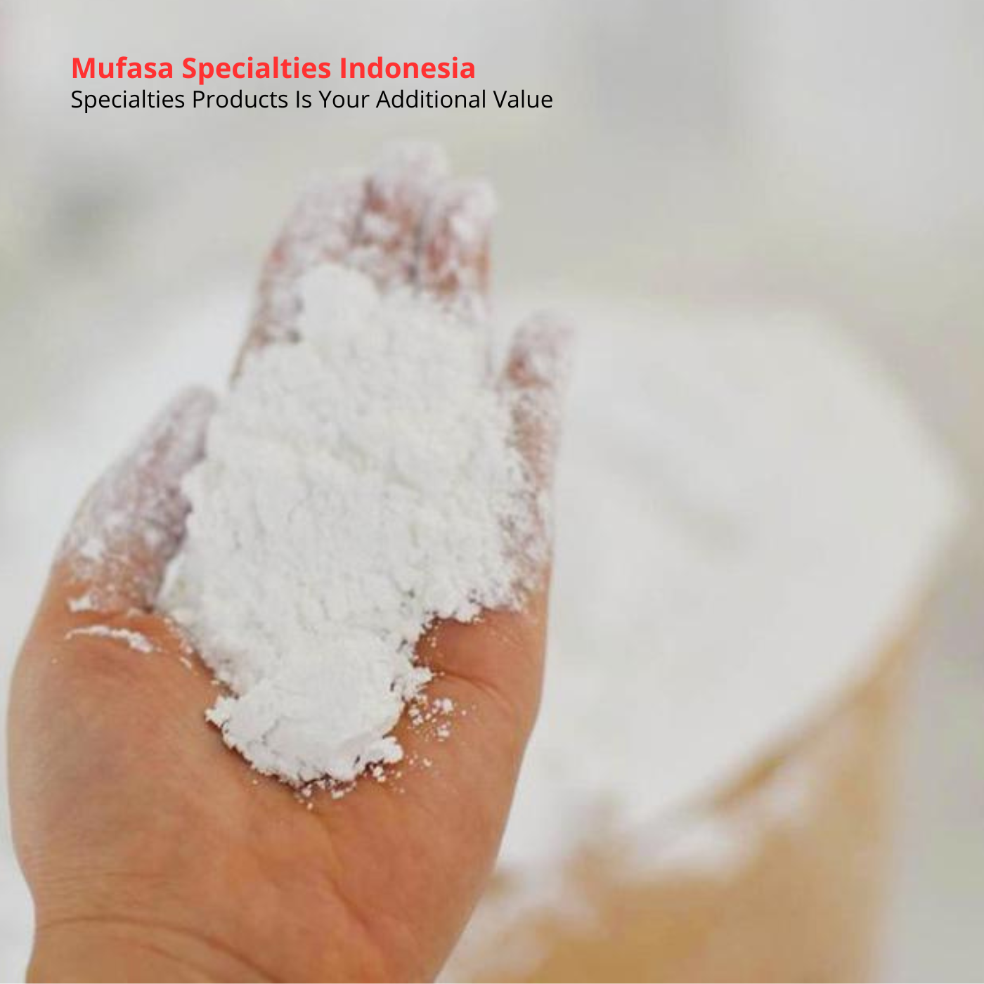 Sifat Kimia Magnesium Oxide - PT. Mufasa Specialties Indonesia